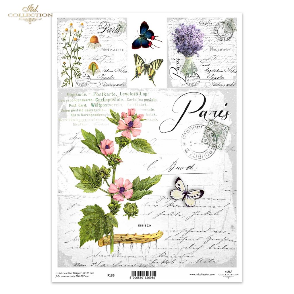 folia przezroczysta F136 * prawoślaz, zioła, kwiaty