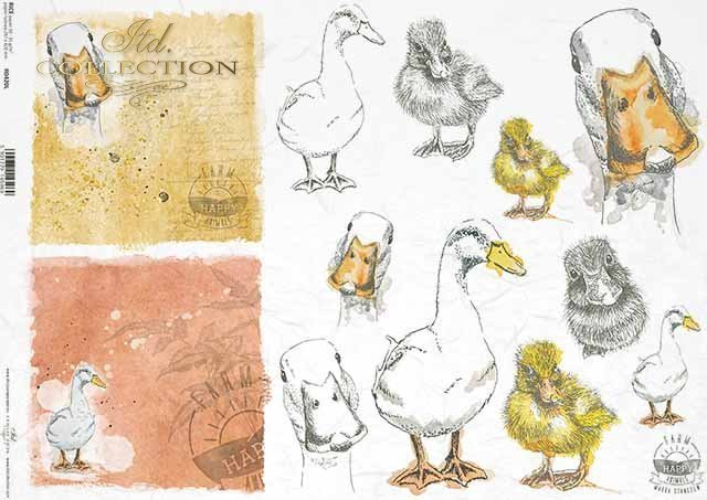 Rice paper A3 R0420L - goose, small goose, goose heads, 'happy farm ...