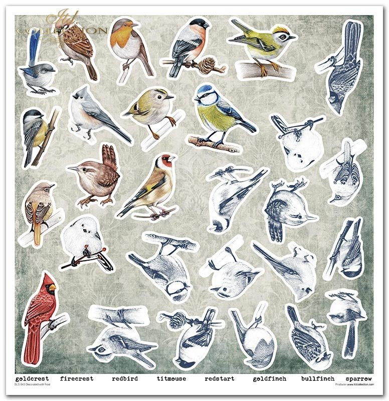 Papeles Scrapbooking SLS-043 ''Decorado con escarcha pintado con ...